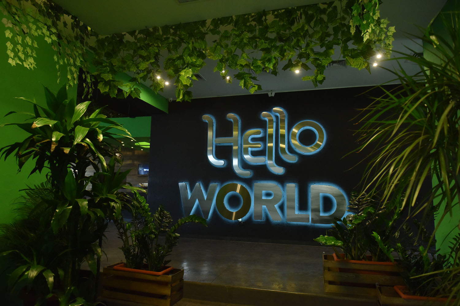 Lime Tree reveals its new menu! | Prwebme